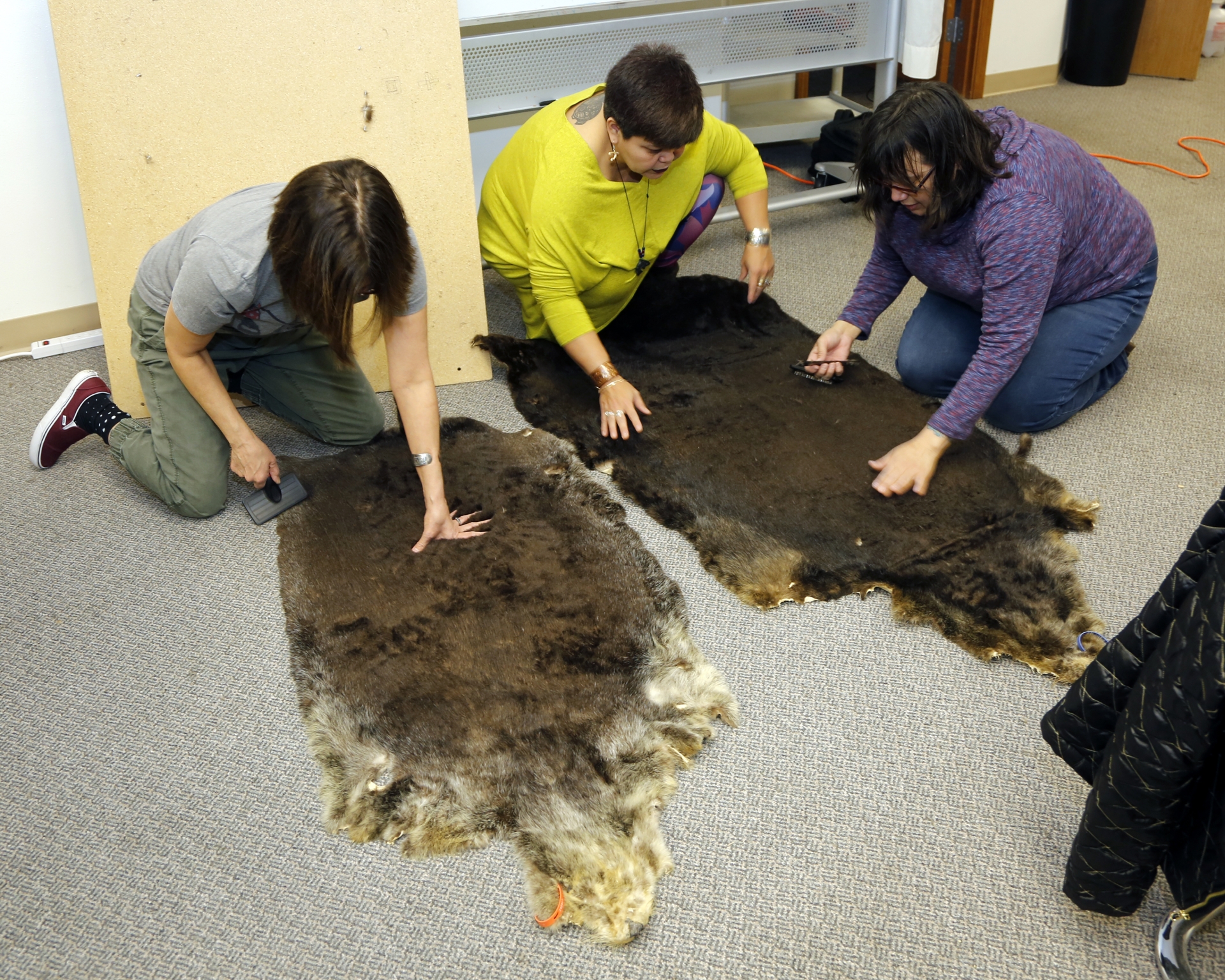 SHI releases report on Indigenous sea otter stewardship in southeast ...